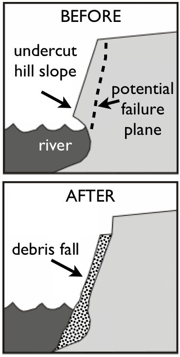 Mitigation and Adaptation Research Institute (MARI)